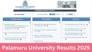 Palamuru University Result 2025 Online